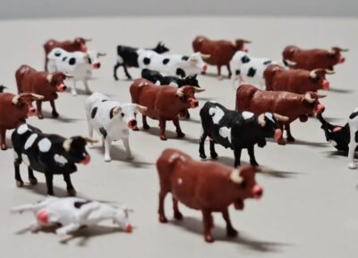 Printare 3D Rasina - Vacute - Printare 3D